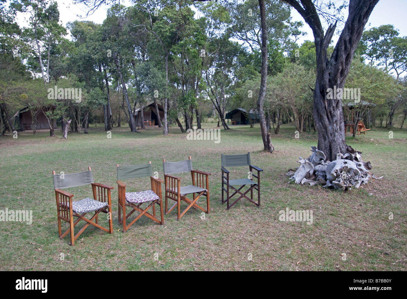 Kenya safari camp hi-res stock photography and images - Alamy