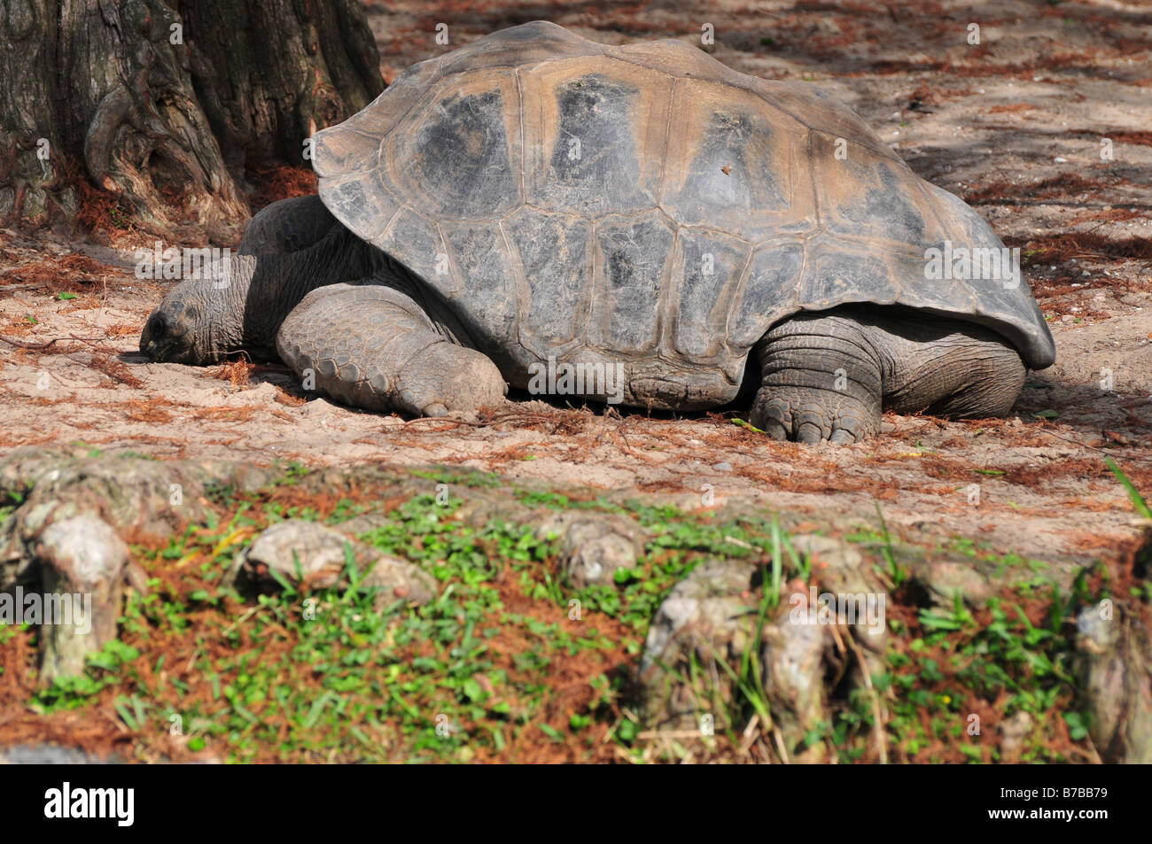 "I can go no further Stock Photo - Alamy
