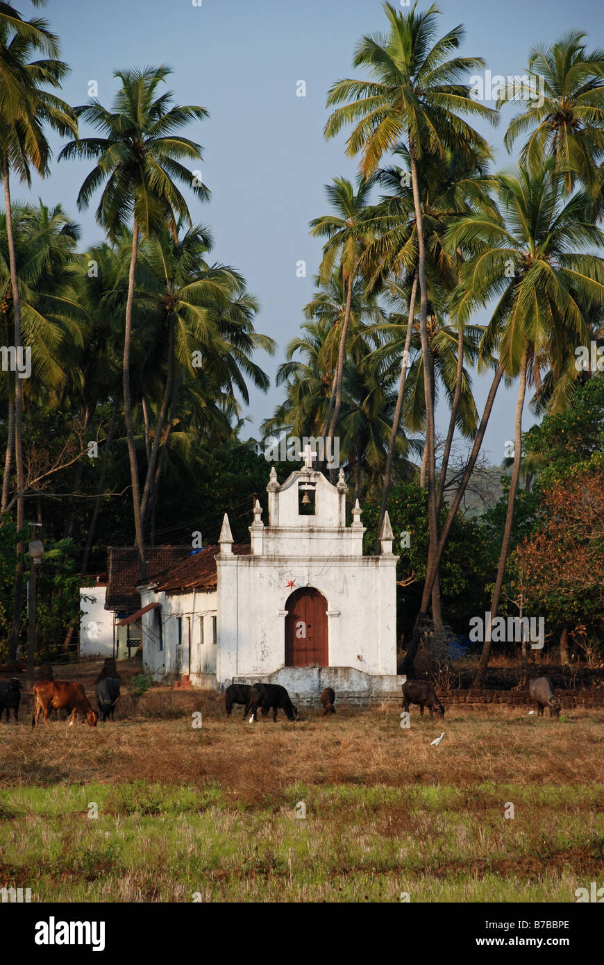 Typical Catholic chapel, Goa, India Stock Photo - Alamy