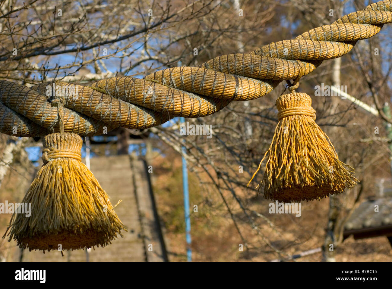 Japanese shinto rope hi-res stock photography and images - Alamy