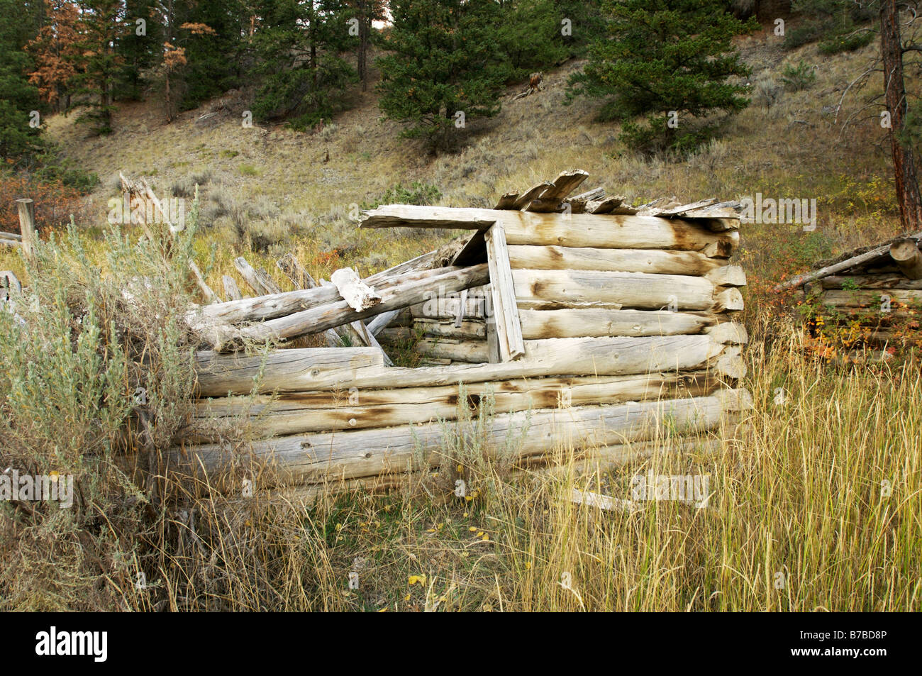 Broken down Log Cabin in an old ghost town Near Cache Creek British ...