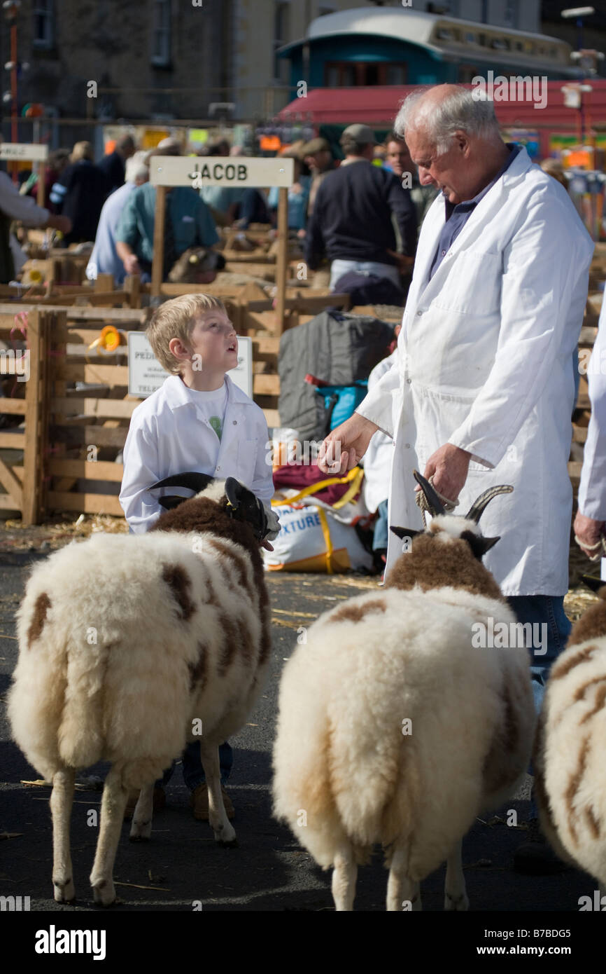 Masham Sheep Fair North Yorkshire England UK Stock Photo - Alamy