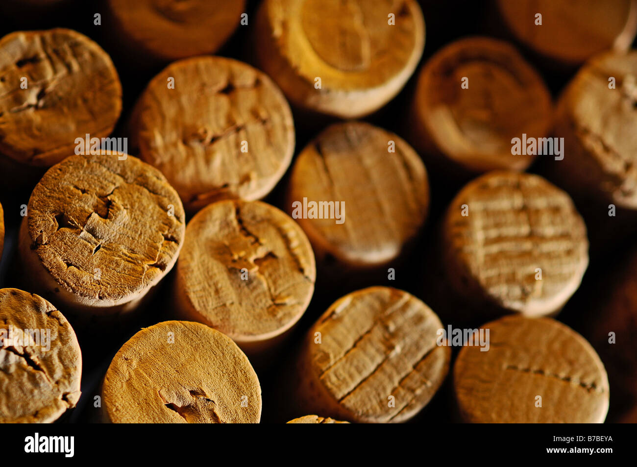 Wine tap production hi-res stock photography and images - Alamy