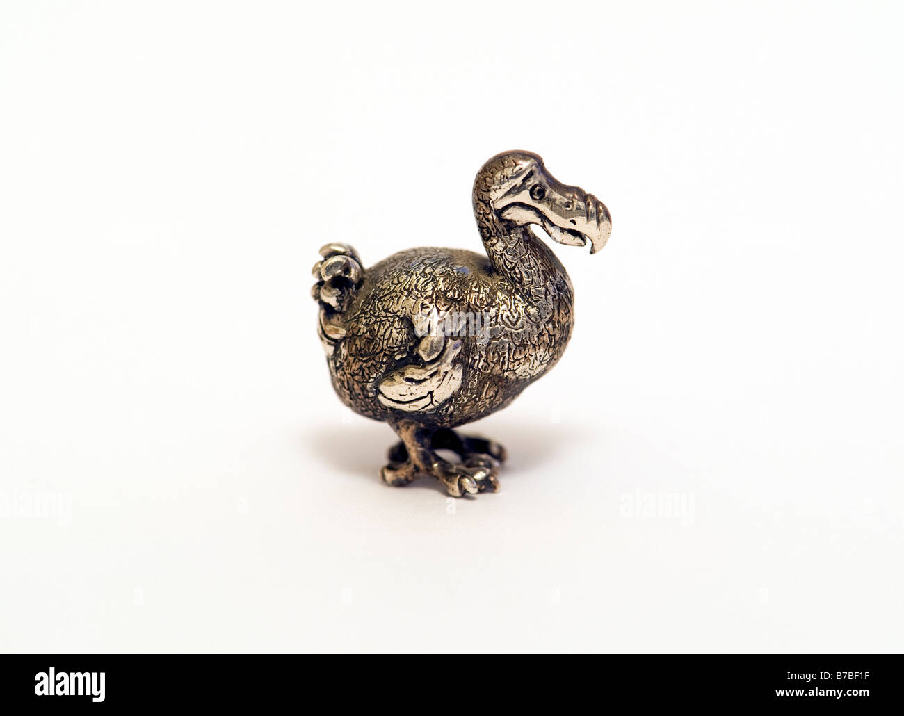 Extinct Dodo Bird High Resolution Stock Photography and Images - Alamy