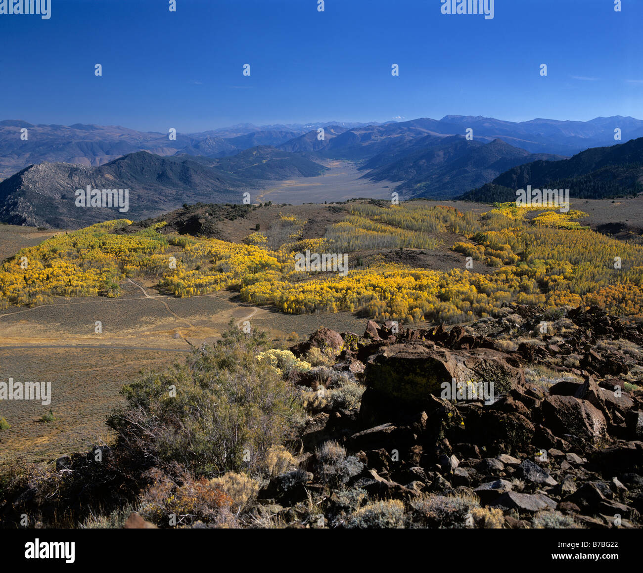 ASPEN GROVES turn golden as seen from the 10 000 foot fire lookout ...
