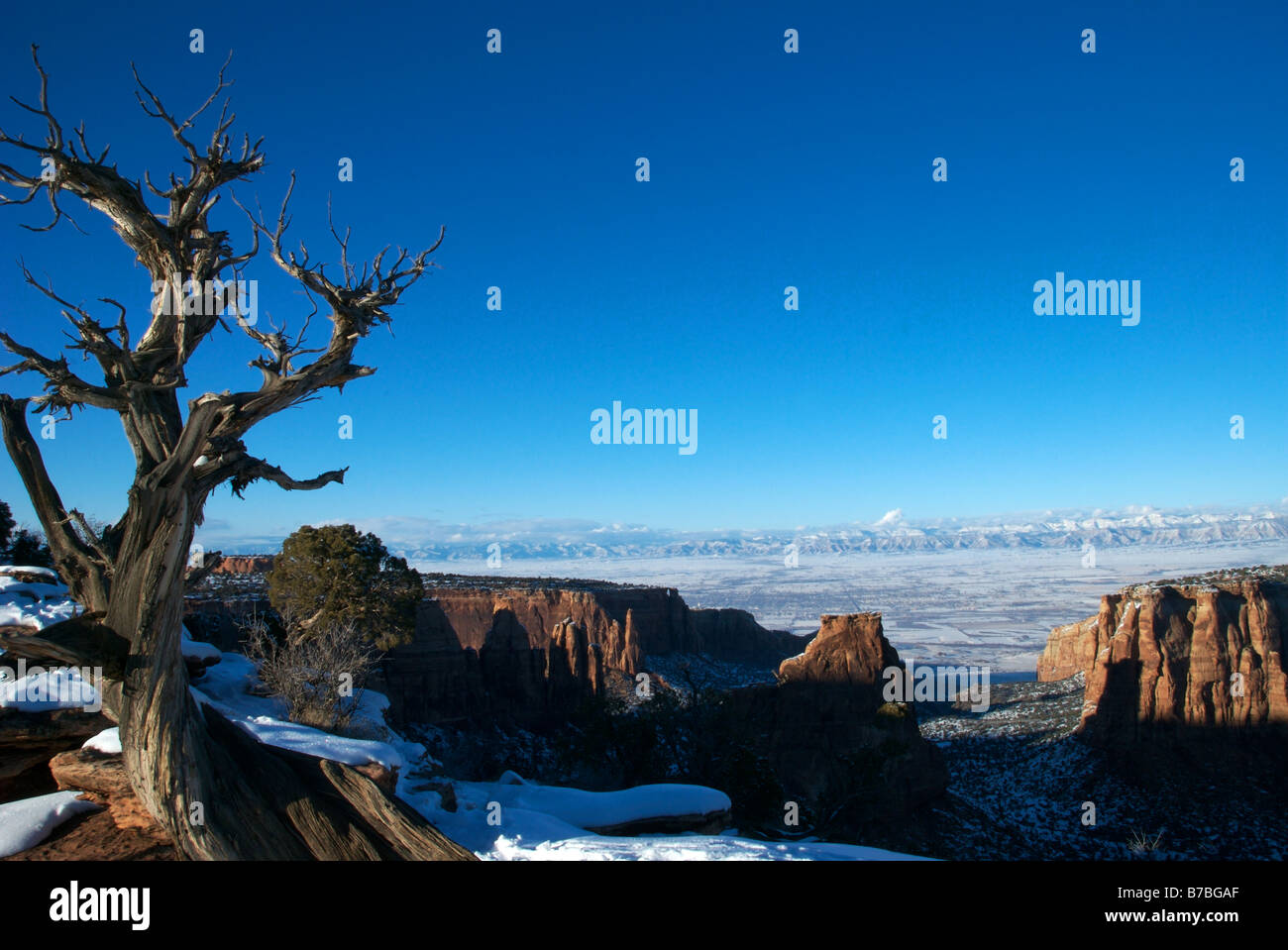 morning view of colorado national monument in the winter Stock Photo ...