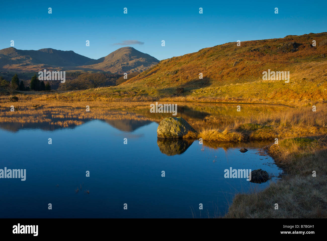 Kelly Hall Tarn & Coniston Old Man, from Torver Common, Lake District ...