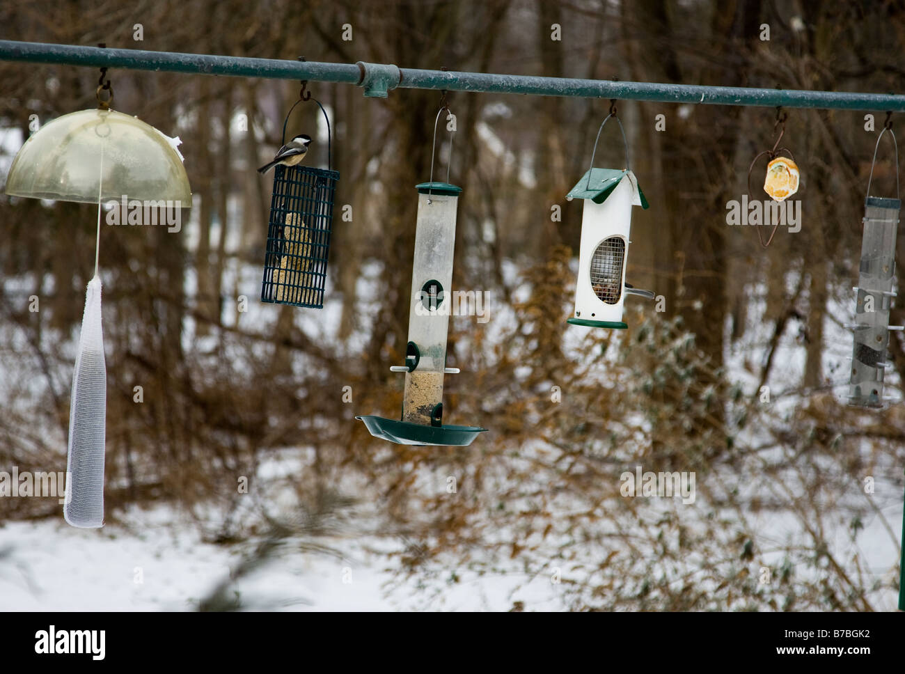 Feeders hi-res stock photography and images - Alamy