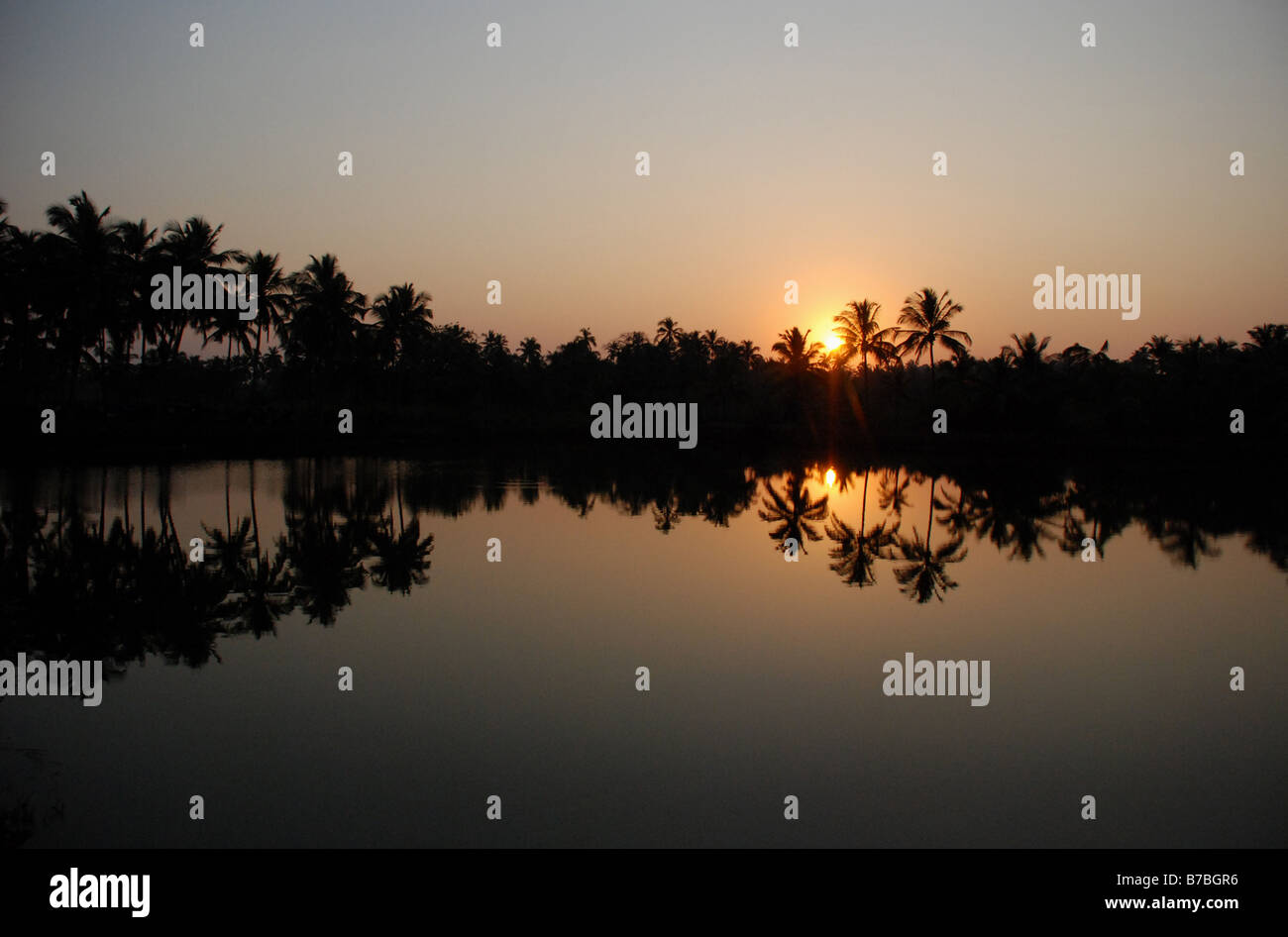 Trees india sunset hi-res stock photography and images - Alamy