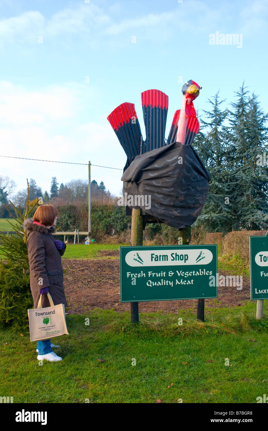 largest turkey in the world Stock Photo - Alamy