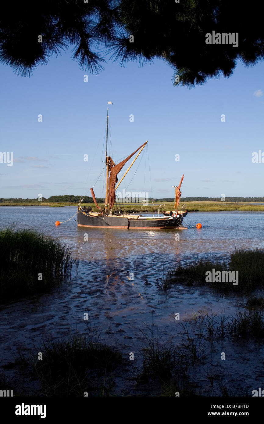 A Victorian spritsail barge lies at anchor in the lea of fir trees on ...