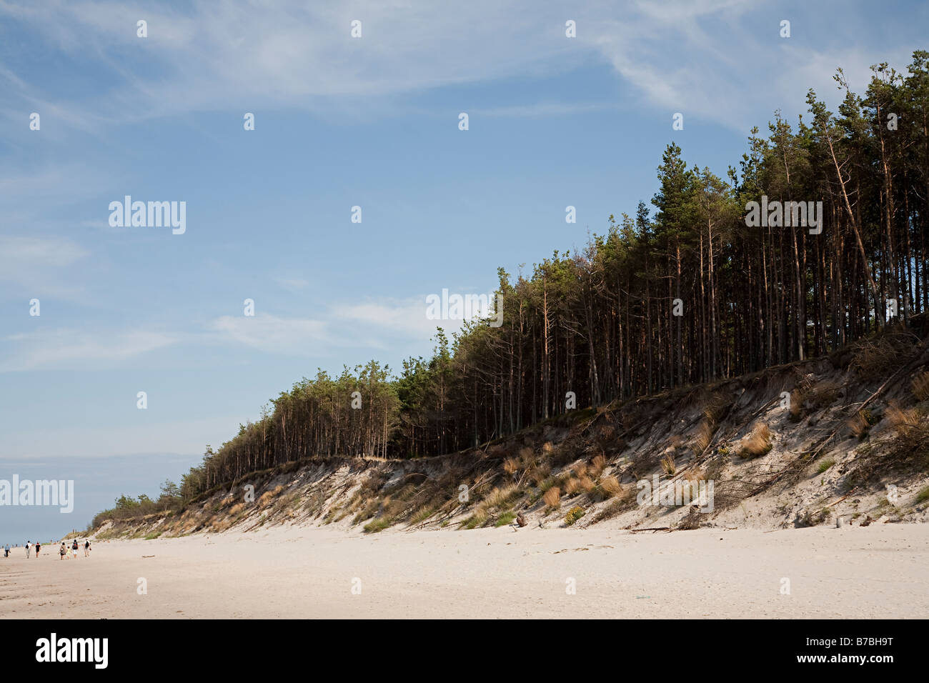 Past trees hi-res stock photography and images - Alamy