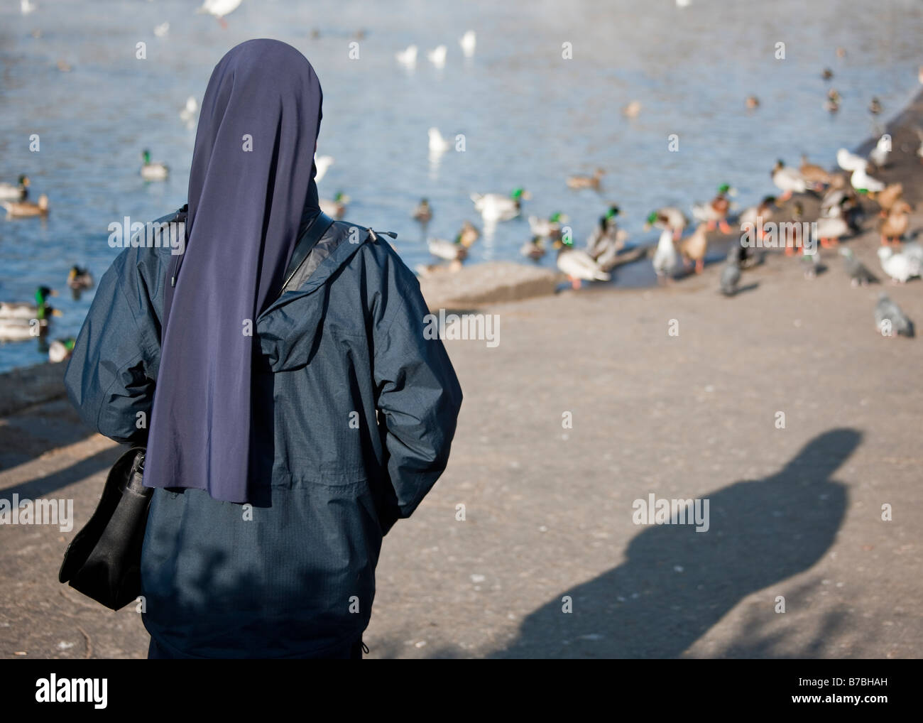 A nun watches birds being fed at a heated lake in Budapest on a sunny ...