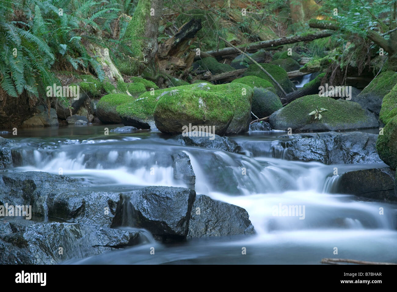 River, Whistler, BC, Canada Stock Photo - Alamy