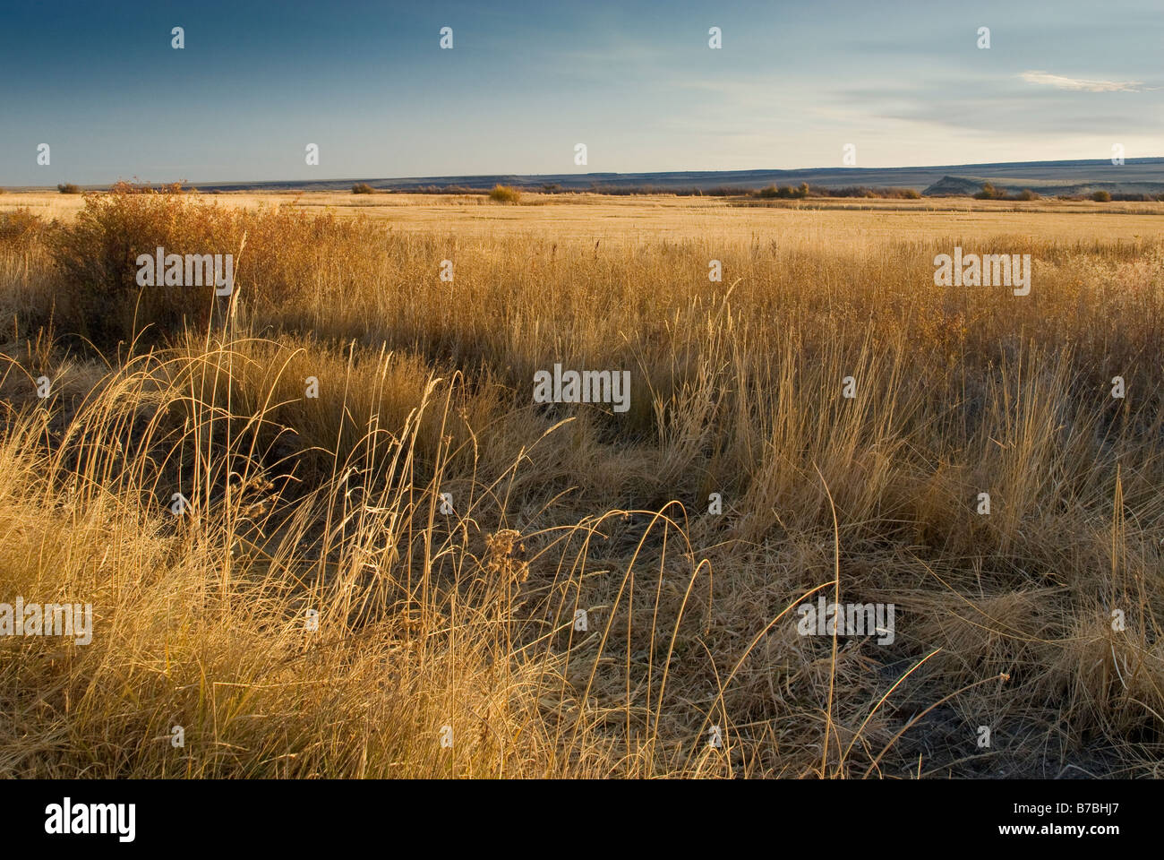 Wetlands at Center Patrol Road at Malheur National Wildlife Refuge ...