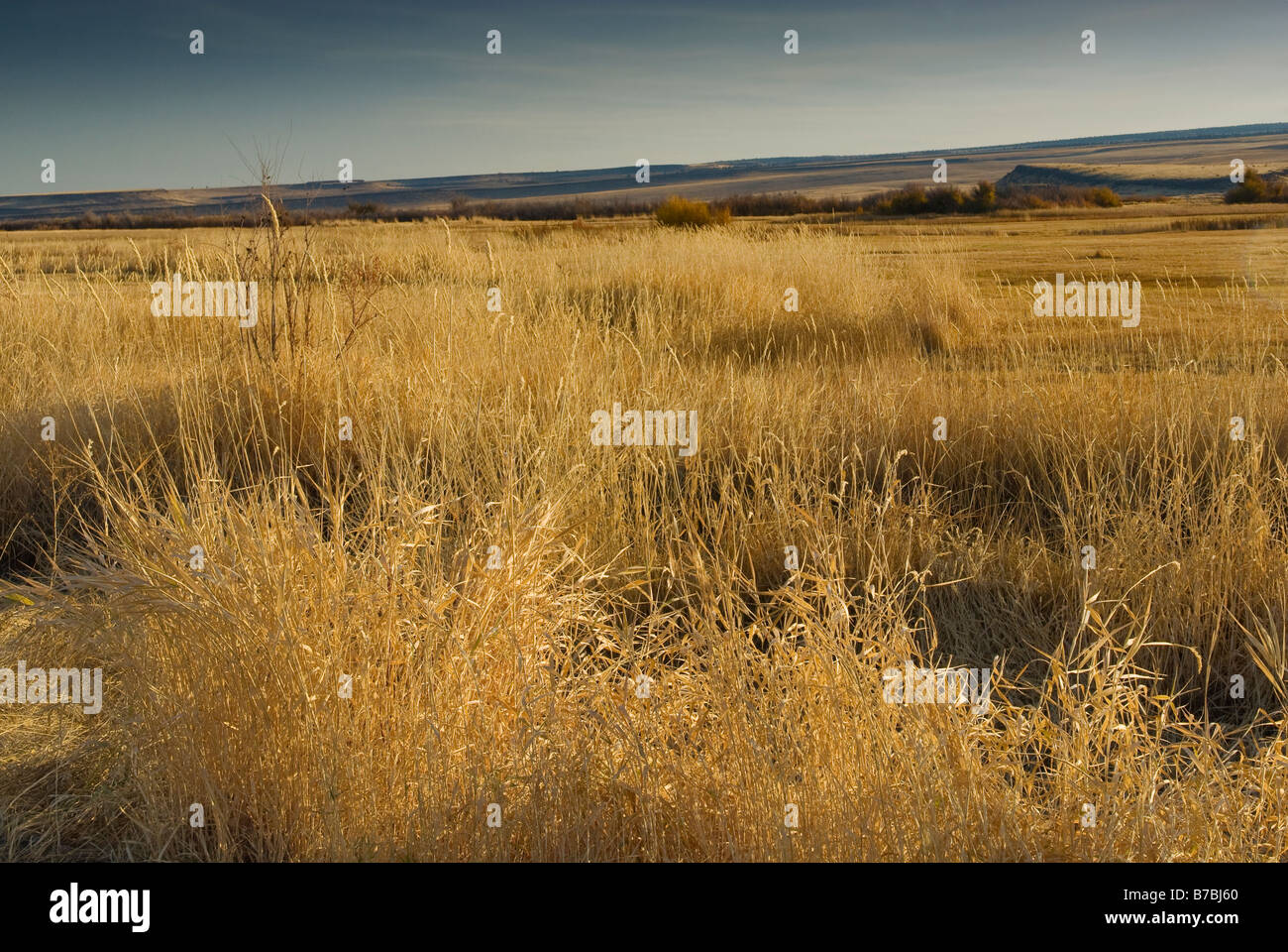 Malheur hi-res stock photography and images - Alamy