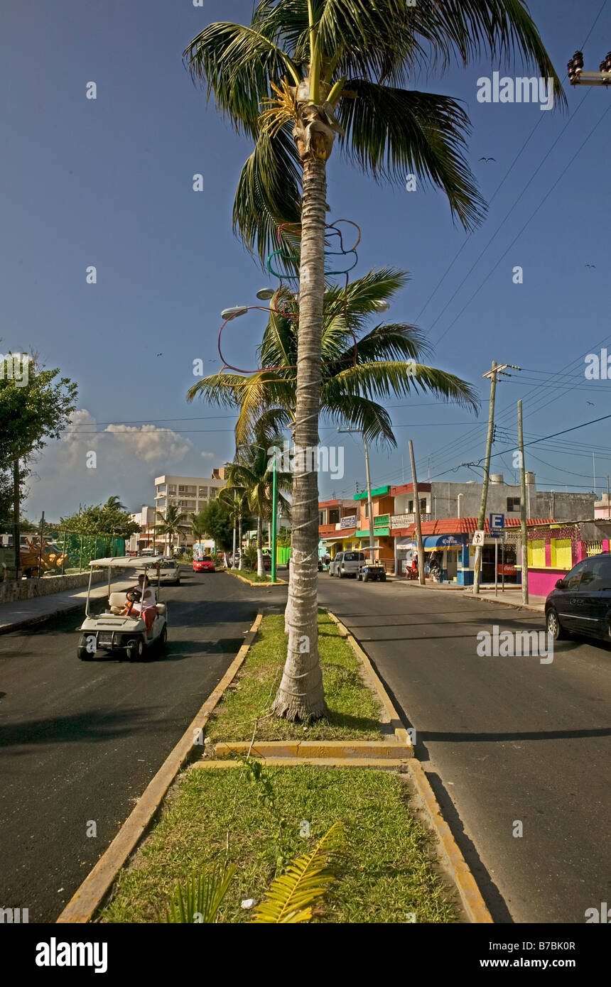Palm Trees in the Median, urban city Stock Photo - Alamy