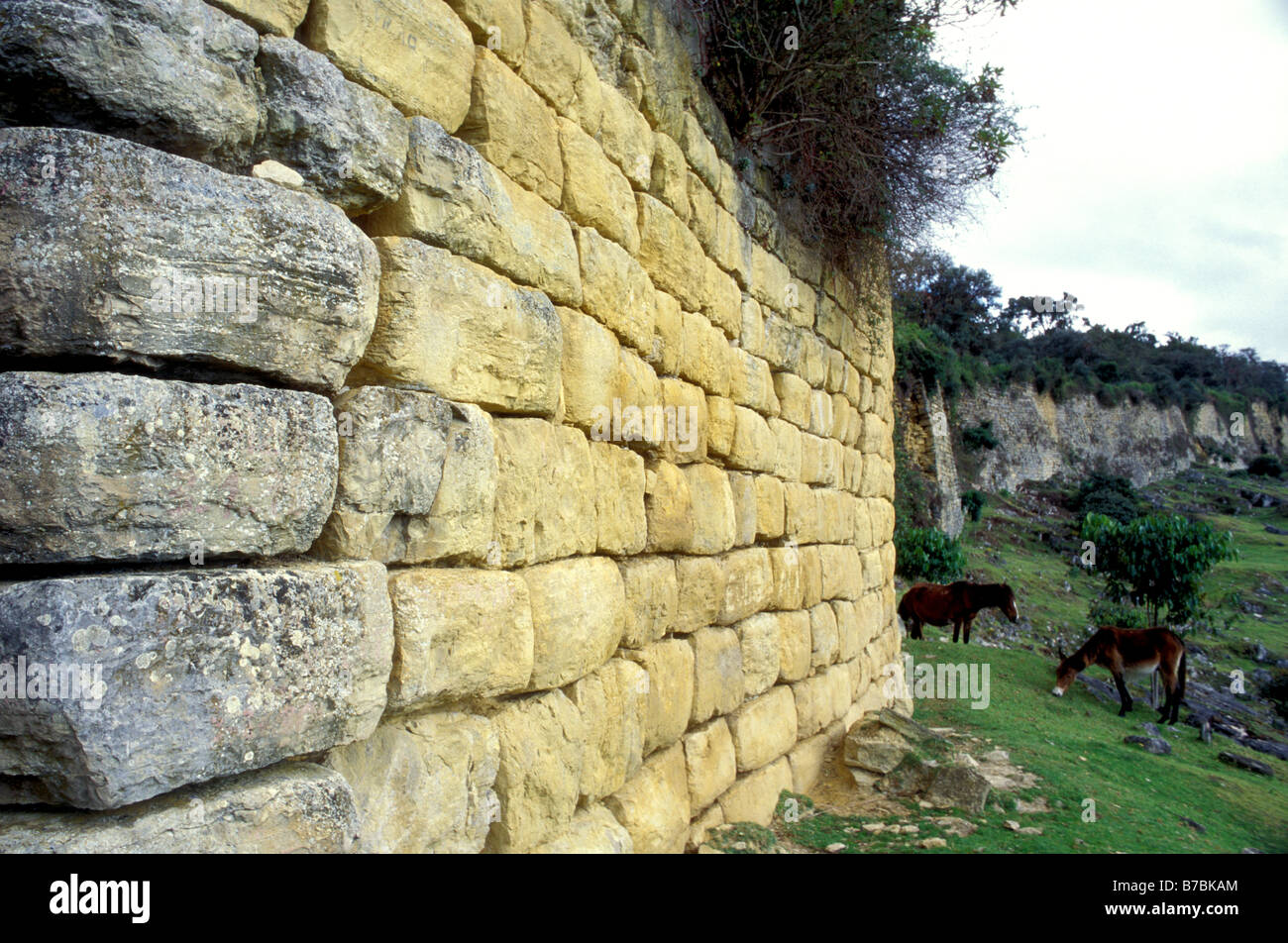 kualap chachapoyas amazonia peru Stock Photo - Alamy