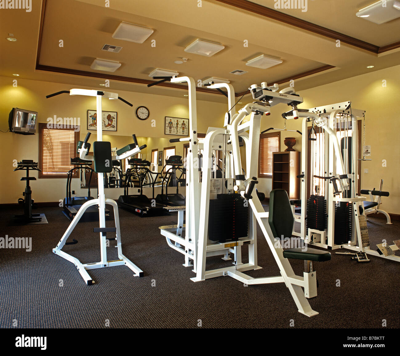 Gym workout us hi-res stock photography and images - Alamy