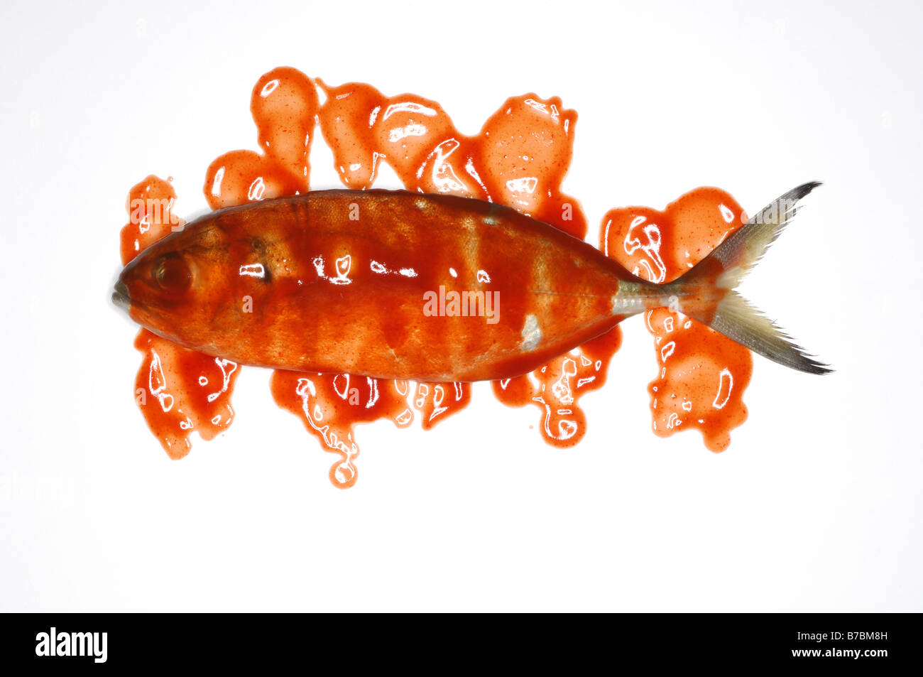 A small whole fish with red hot spicy sauce Stock Photo - Alamy