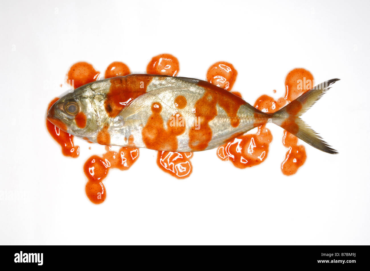 A small whole fish with red hot spicy sauce Stock Photo - Alamy