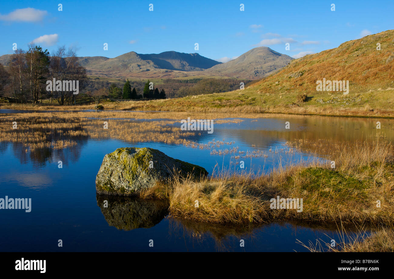 Kelly Hall Tarn & Coniston Old Man, from Torver Common, Lake District ...