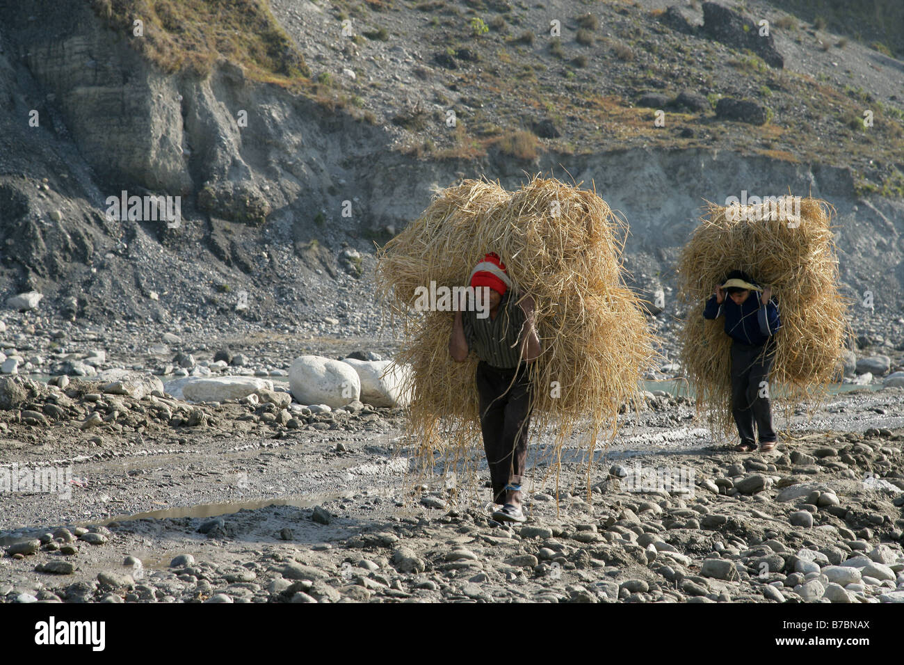 “men transporting hay” Stock Photo - Alamy