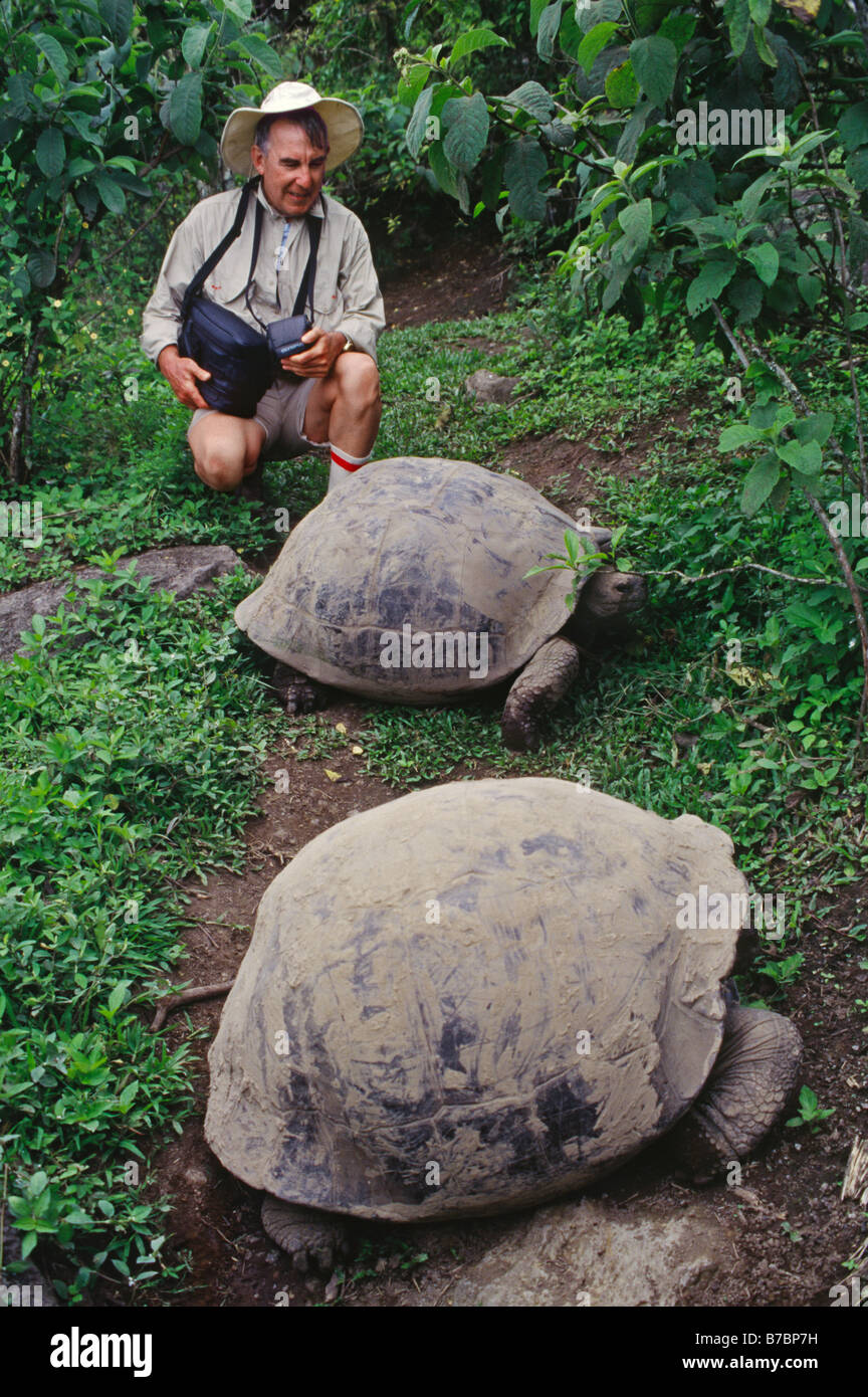 Tortoises galapagos photograph hi-res stock photography and images - Alamy