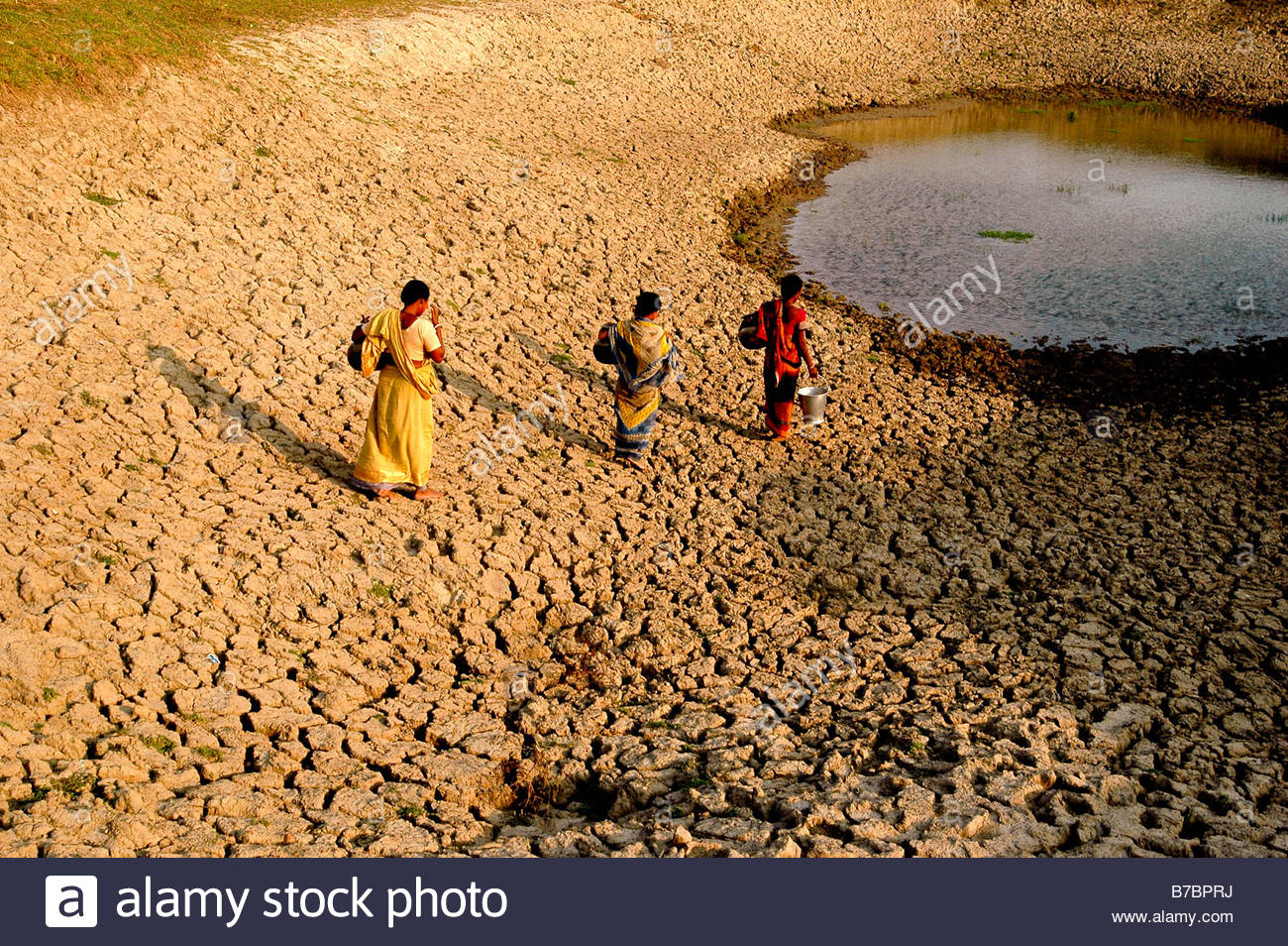 What Are The Importance Of Dry Season at Holly Brough blog