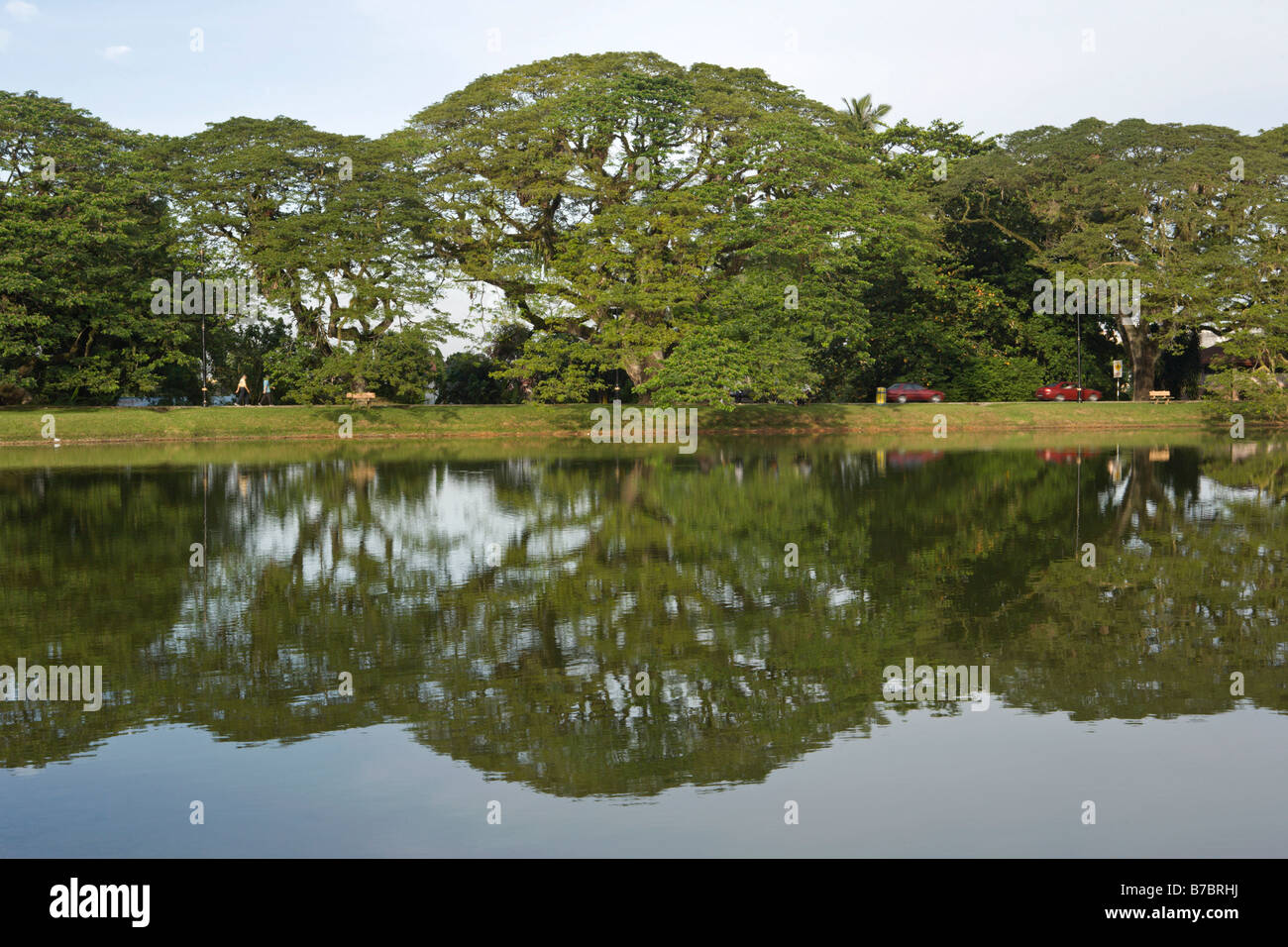 Lake Gardens, Taiping, Perak, Malaysia Stock Photo - Alamy