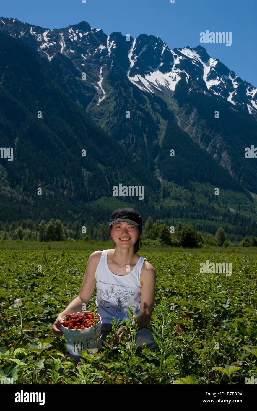 Grown in bc hi-res stock photography and images - Alamy