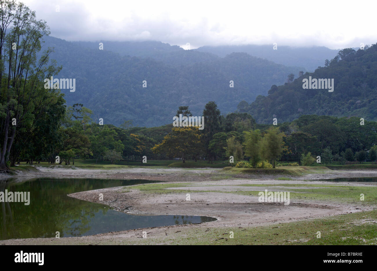 Lake Gardens, Taiping, Perak, Malaysia Stock Photo - Alamy
