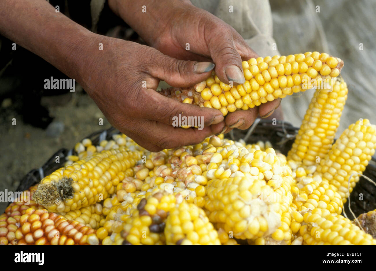 Cruzpata hi-res stock photography and images - Alamy