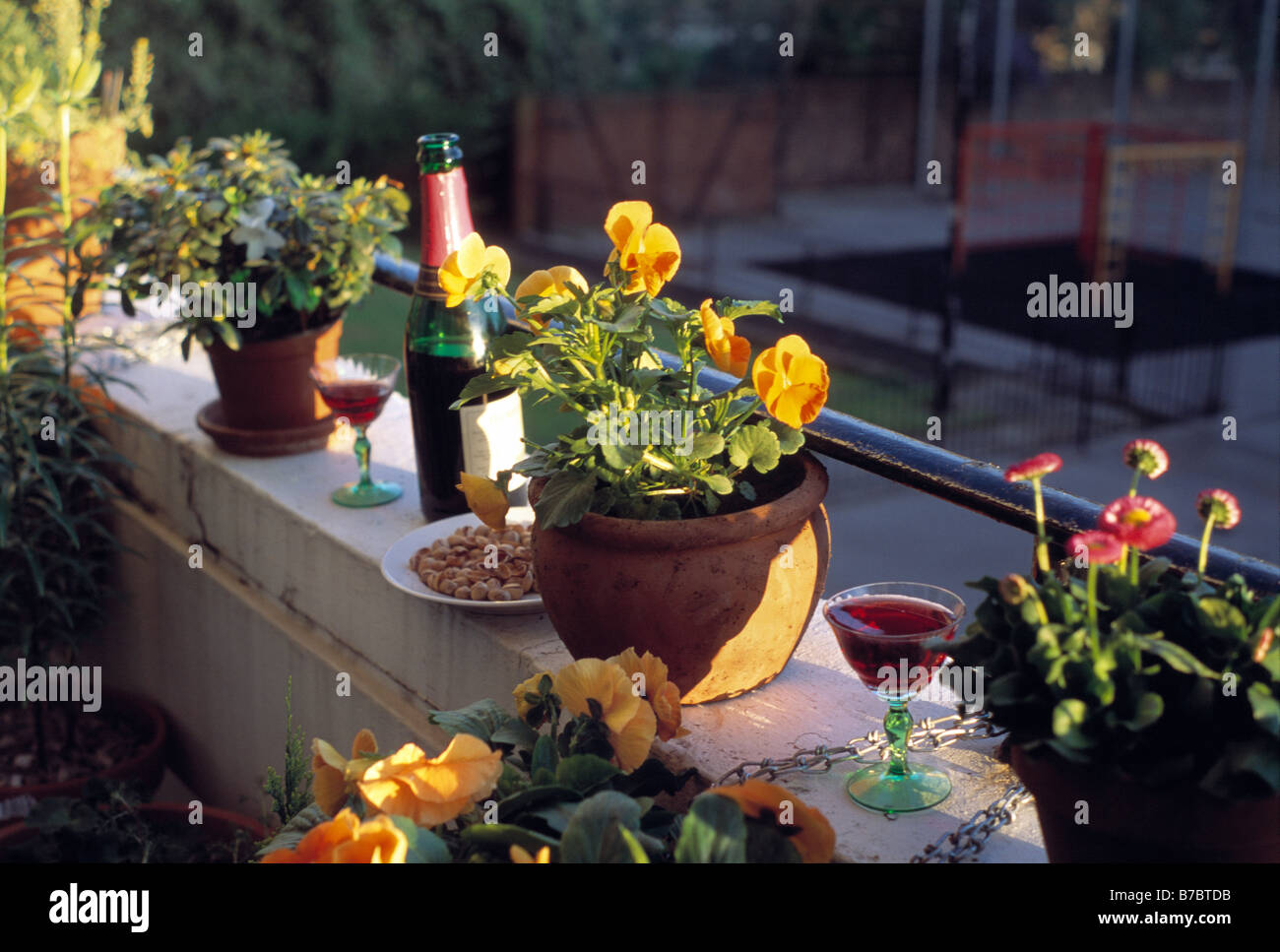 Champagne and flowers on a council estate veranda, London, United ...