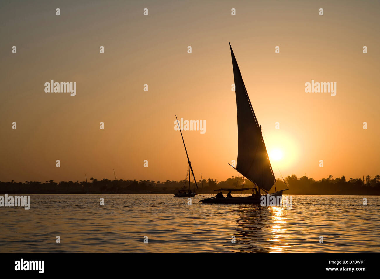 Egypt, Travel, The Nile, Sailing the Nile, Sail Boat, Felucca ...