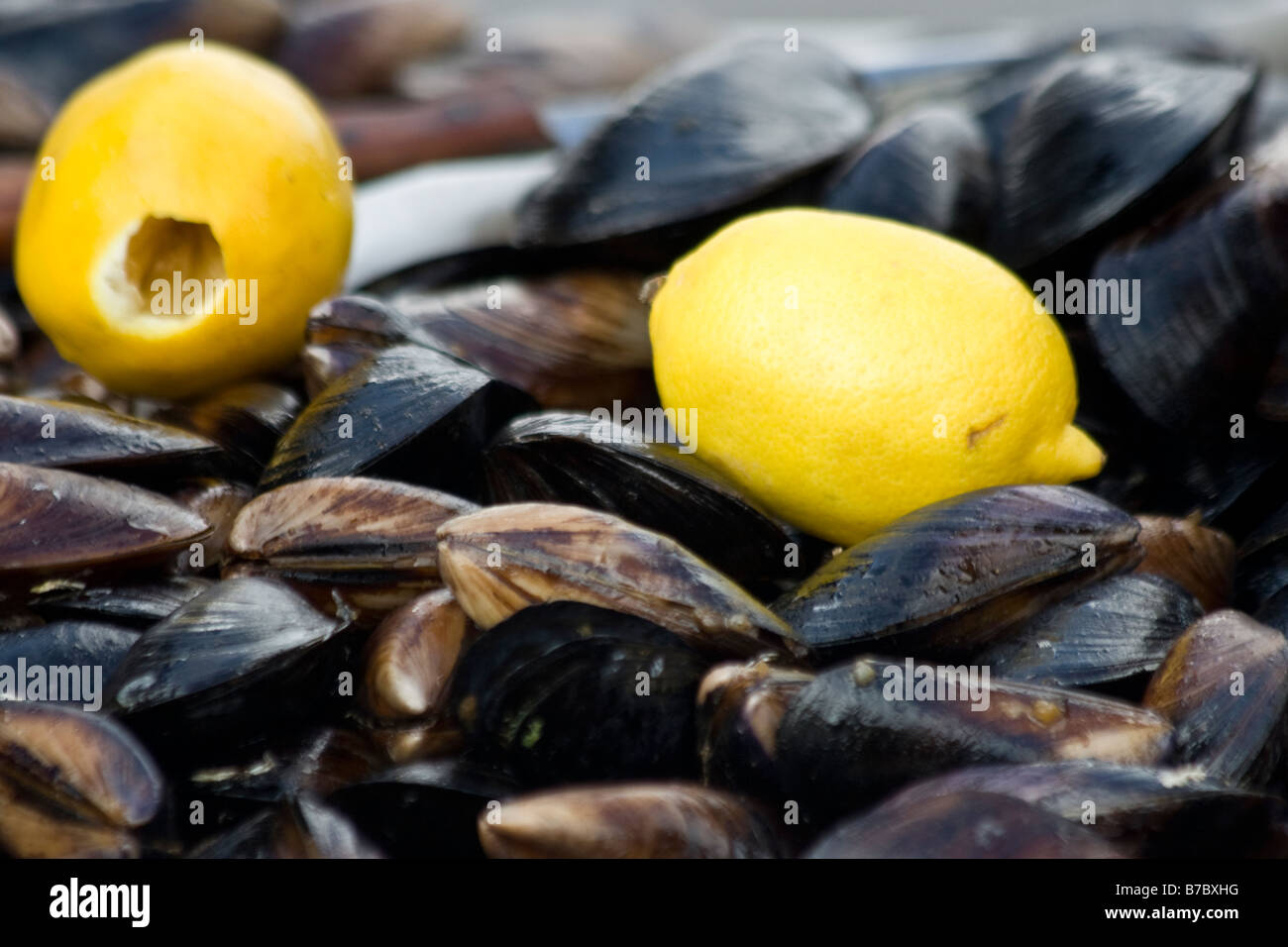 Seafood street food istanbul hi-res stock photography and images - Alamy