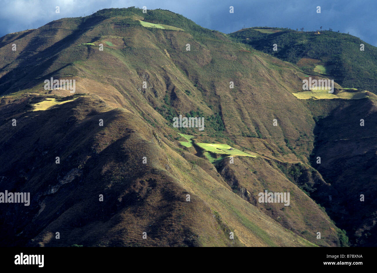 Sierra amazonia hi-res stock photography and images - Alamy