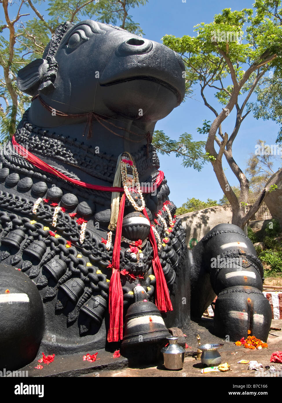 Black nandi hi-res stock photography and images - Alamy
