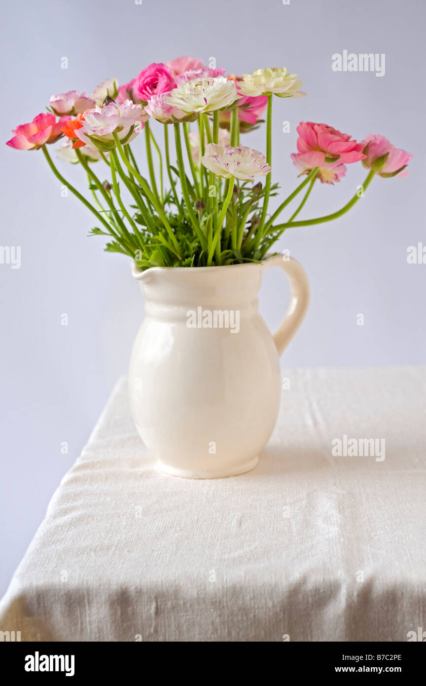 bouquet of buttercup flowers in a ceramic pitcher Stock Photo - Alamy
