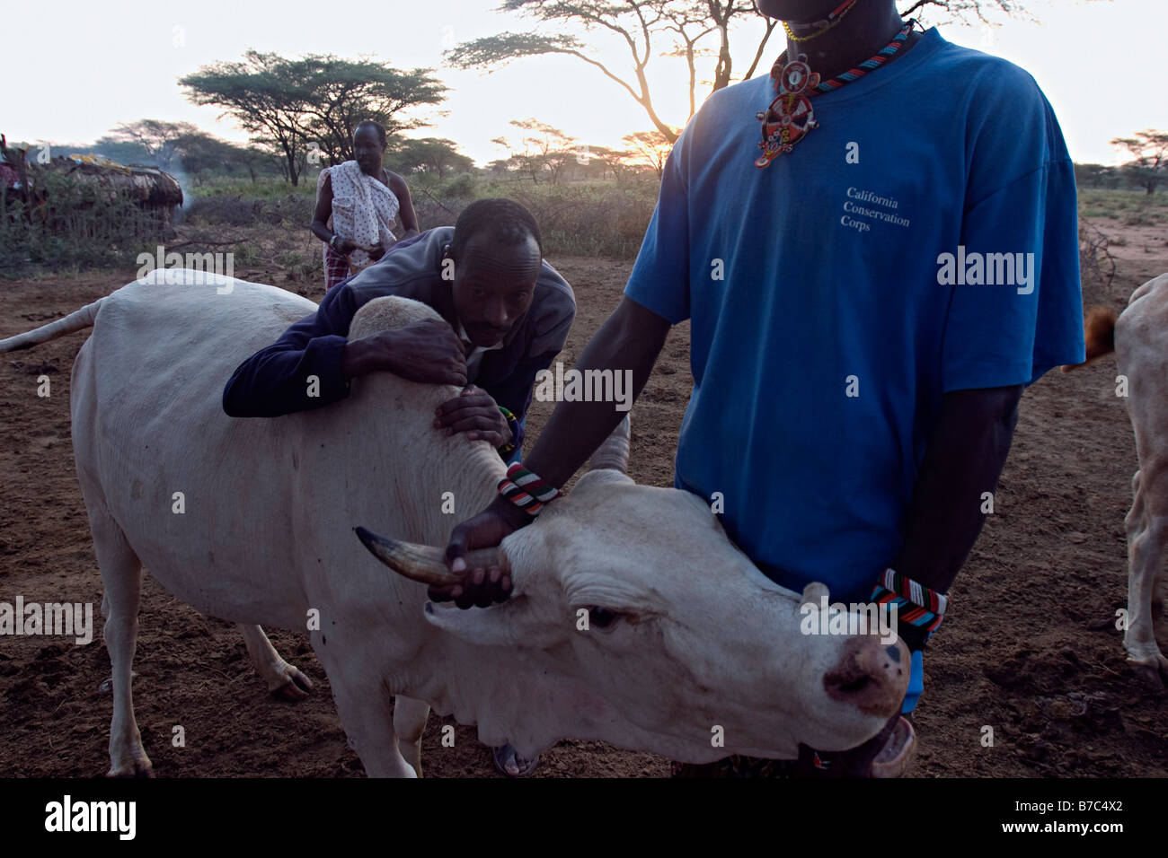 Samburu circumcision ritual hi-res stock photography and images - Alamy