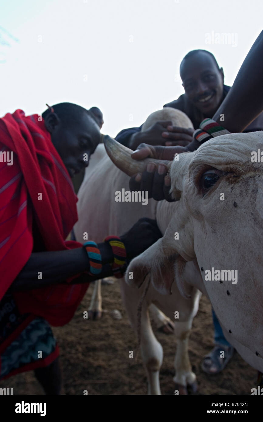 Samburu circumcision ritual hi-res stock photography and images - Alamy
