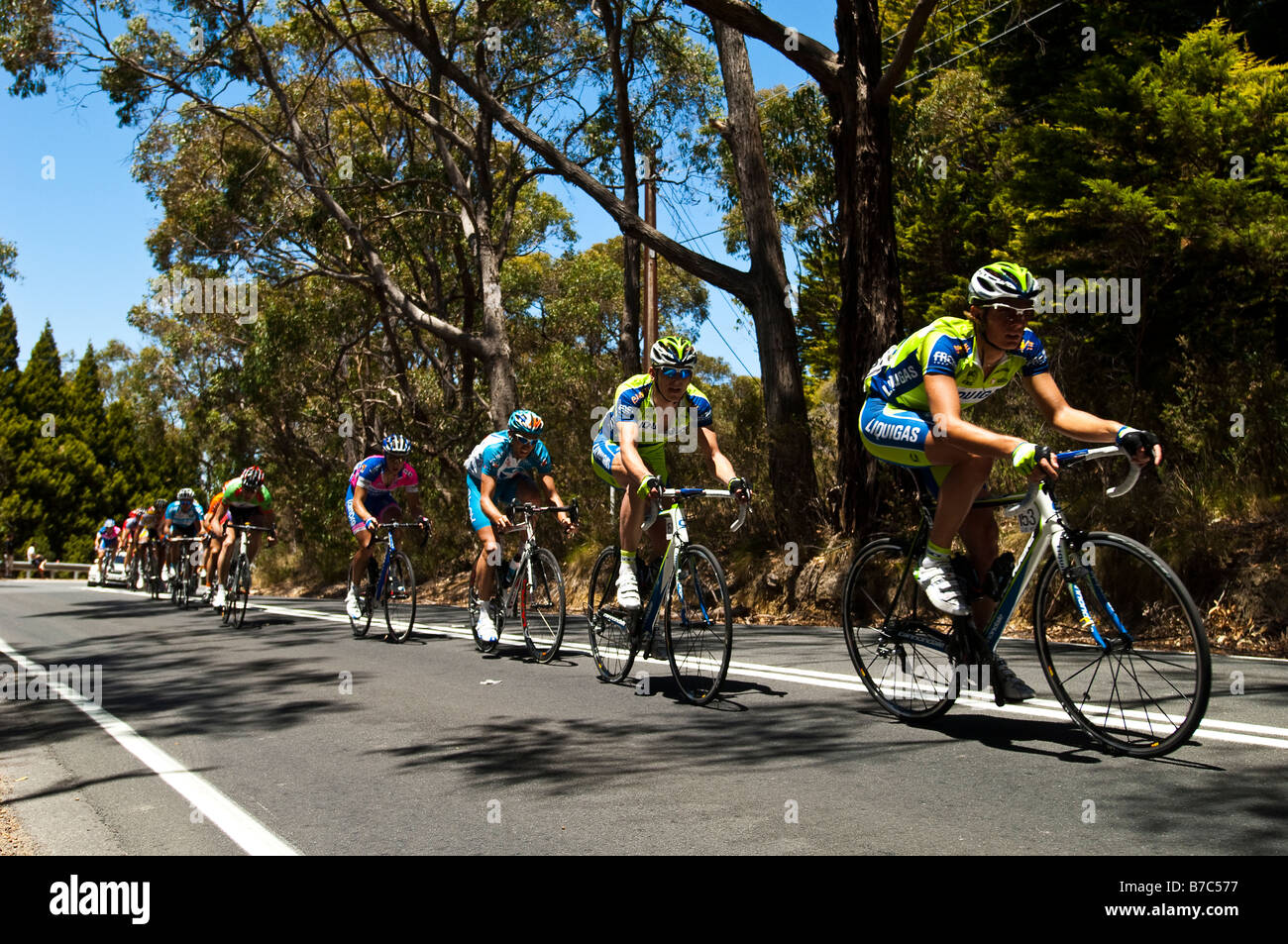 Cyclists competing in the Tour Down Under 2009 Classic Bike Race in the ...