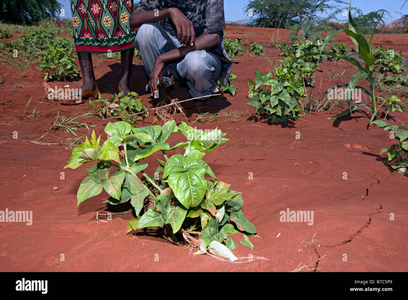 Flooding and Drought in Northern Kenya Stock Photo - Alamy