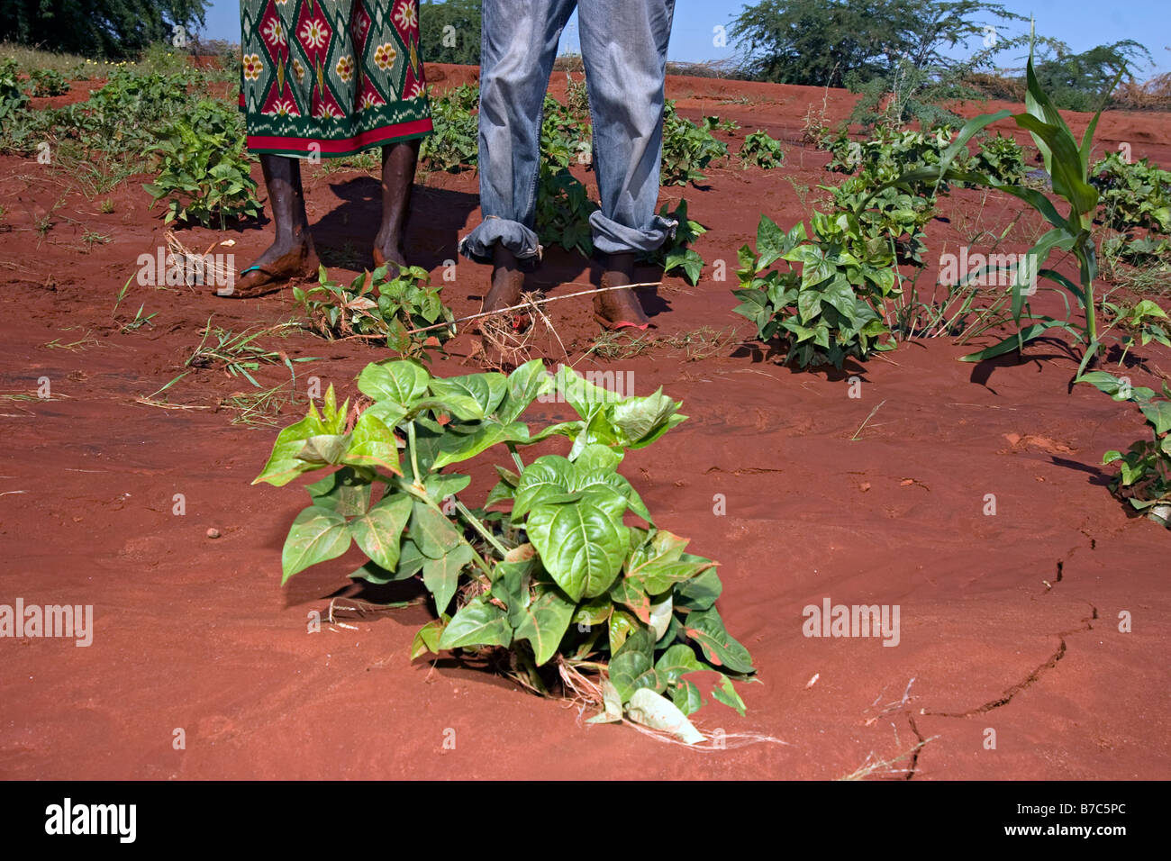 Flooding and Drought in Northern Kenya Stock Photo - Alamy