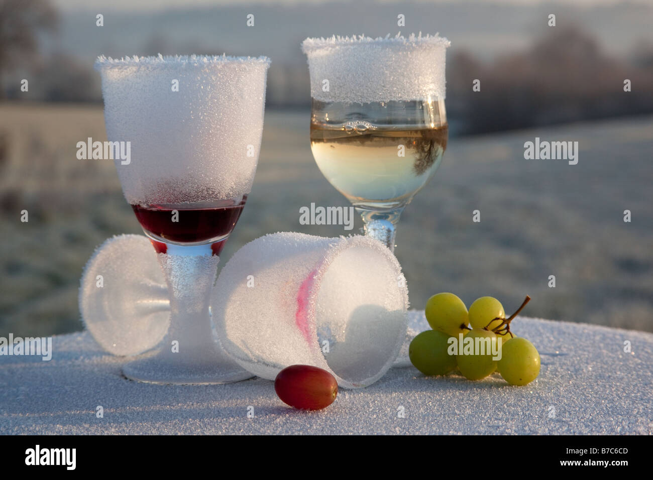 Morning-after-night-before frosted and broken wine glass party remains ...