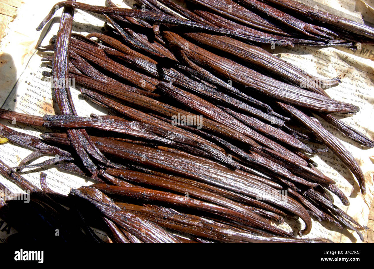 Vanilla spice pods Stock Photo - Alamy