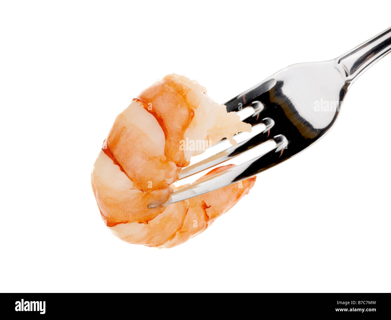 Fresh Shelled Tasty Healthy Cooked Prawn On A Fork Ready To Eat Against ...