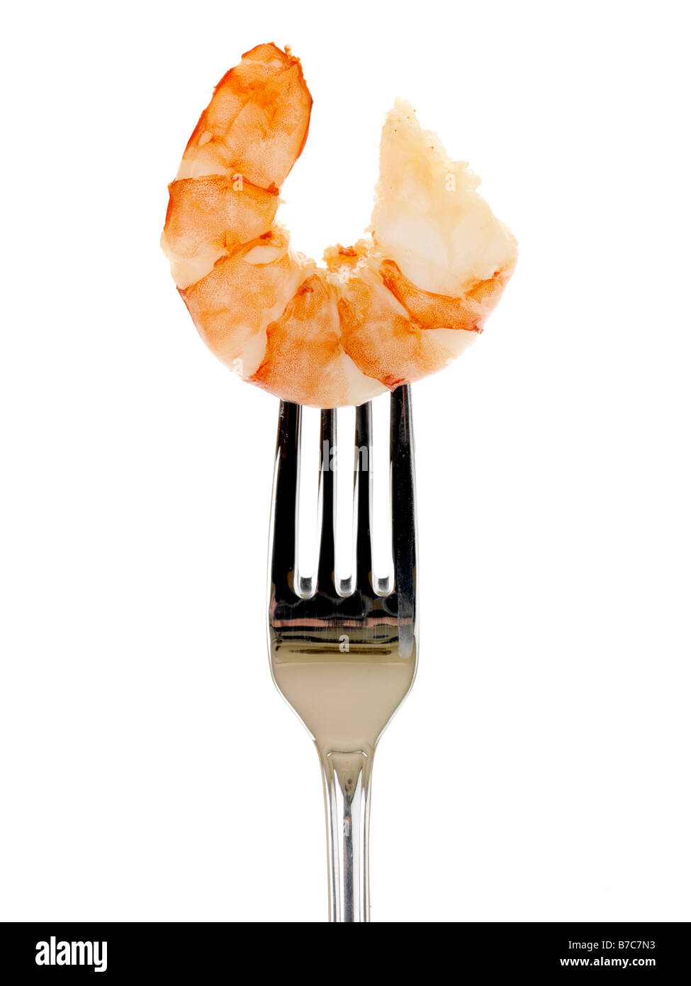 Fresh Shelled Tasty Healthy Cooked Prawn On A Fork Ready To Eat Against ...