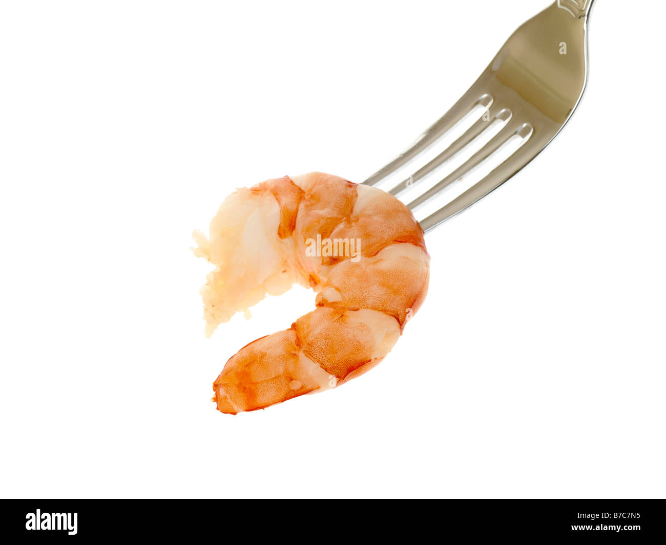 Fresh Shelled Tasty Healthy Cooked Prawn On A Fork Ready To Eat Against ...