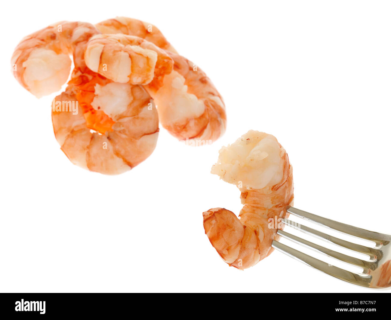 Prawn head Cut Out Stock Images & Pictures - Alamy